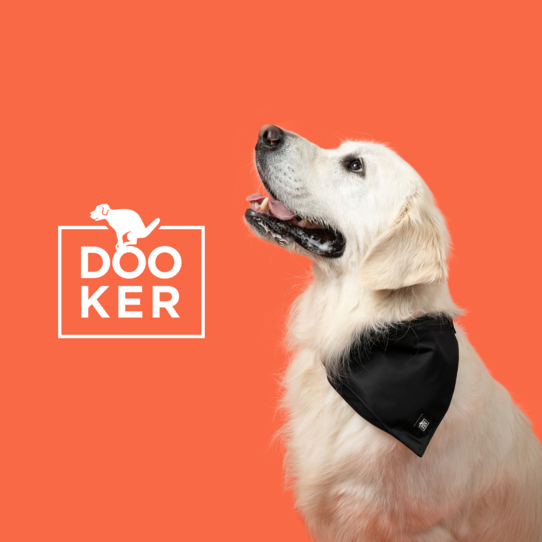 Dooker